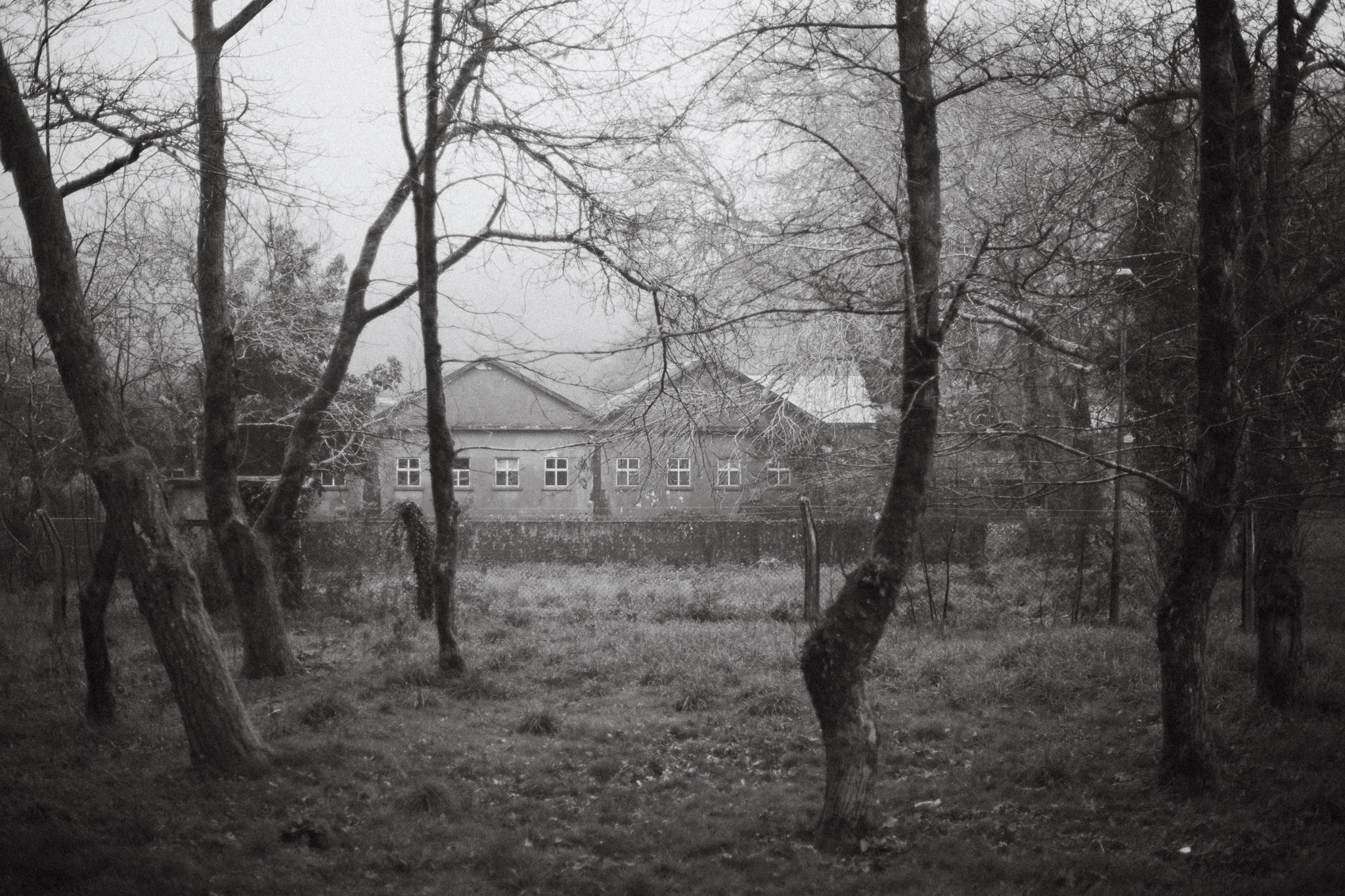 Life, Unintended – A visual diary of life as it unfolds